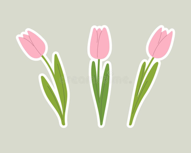 Stickers with Pink Tulips, Isolated. Handmade Tulips. Spring Element ...