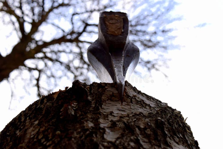 Sticking ax in log stock photo. Image of birch, chop - 142685946