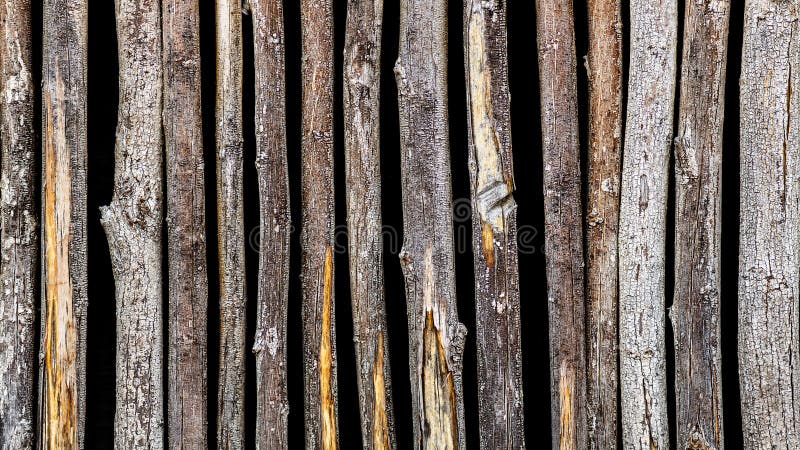 Sticks and Branches Close Up Background Stock Photo - Image of ...