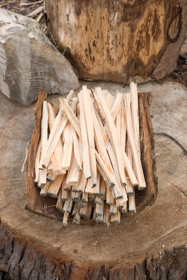 Sticks of Firewood on a Tree Bark Stock Image - Image of energy ...