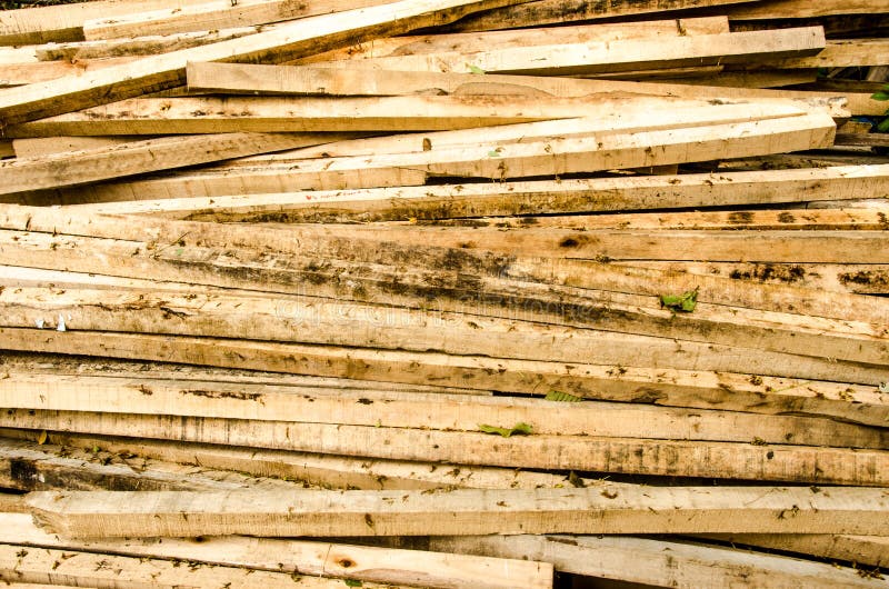 Sticks stock photo. Image of timber, brown, home, detail - 39854642