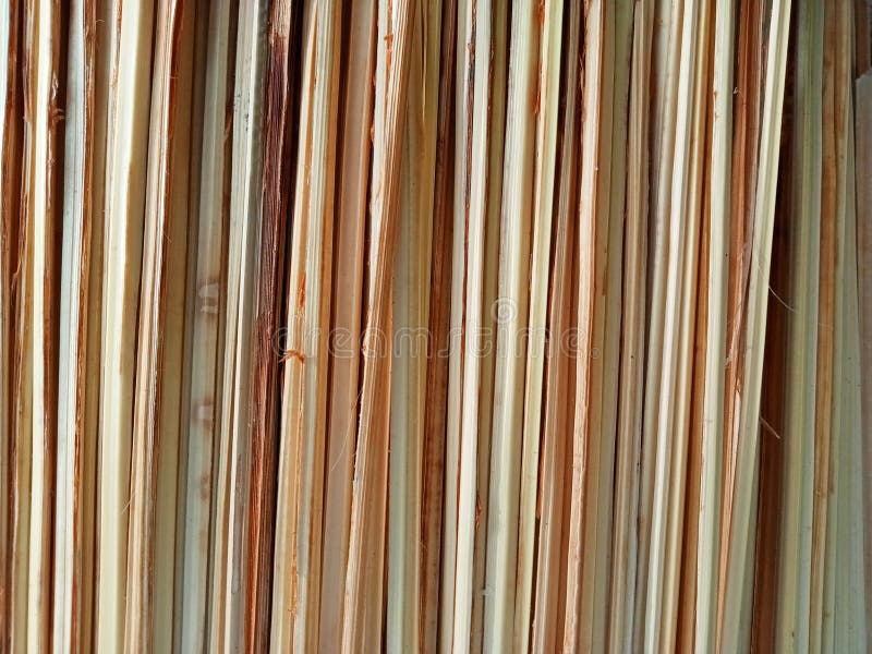 Sticks from the Nipah Tree, a Type of Palm Tree. Image As Background ...