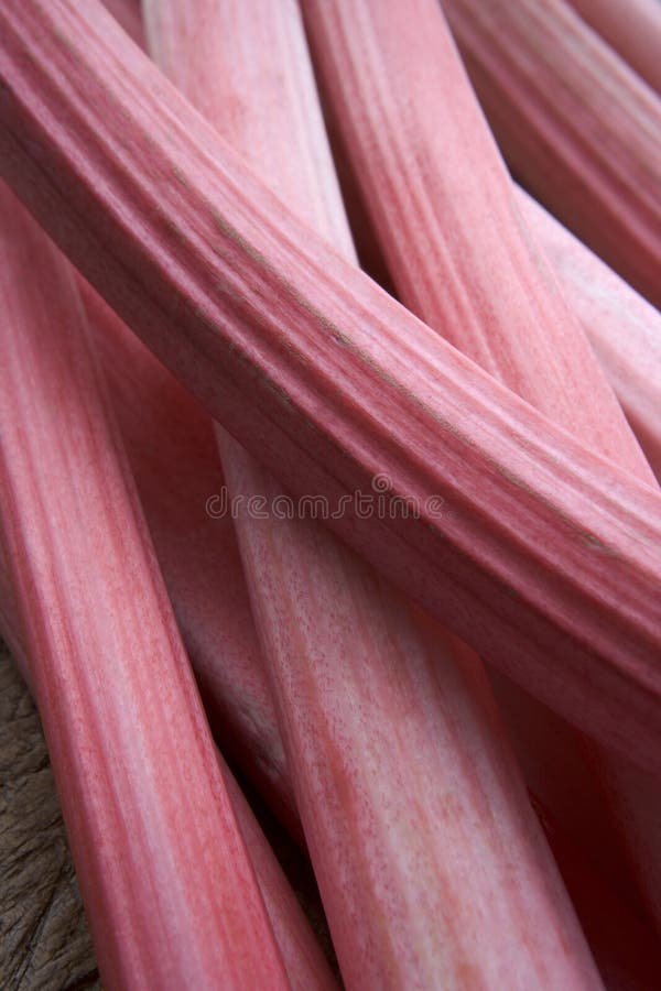 Sticks of Rhubarb stock image. Image of nutritional, abundance - 7229681