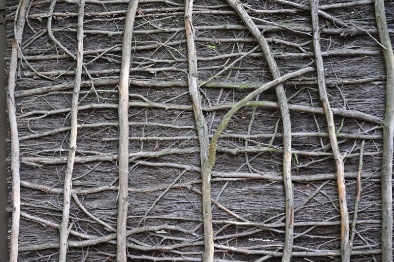 Sticks texture stock photo. Image of nature, vertical - 44468426