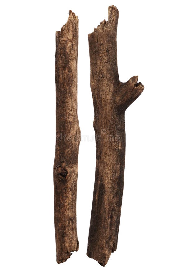 Sticks stock image. Image of outdoor, broken, forest - 59845647