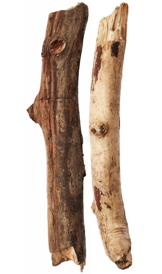Sticks stock photo. Image of birch, element, close, nature - 65522316