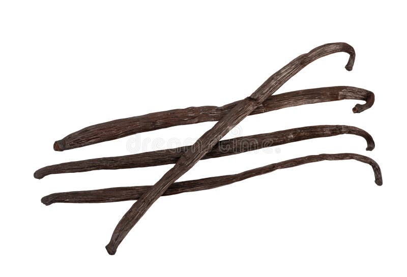 Sticks of vanilla stock image. Image of fruit, sticks - 21468619