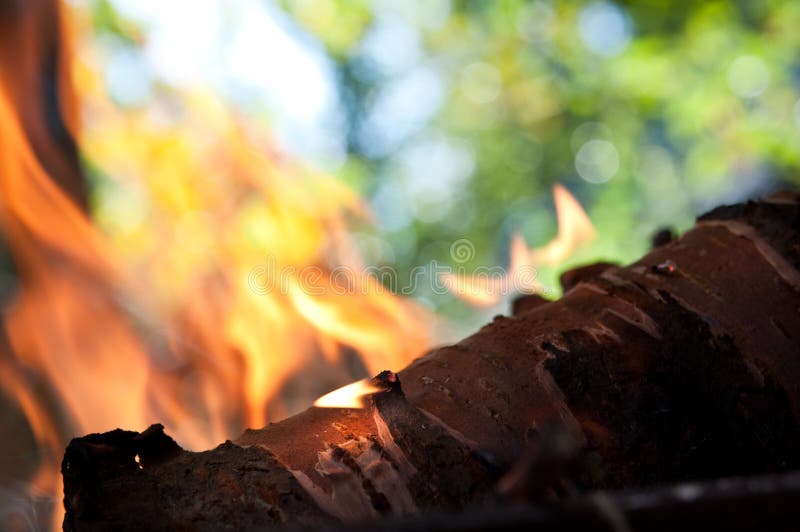 Sticks of wood burn stock image. Image of heat, logs - 21569041