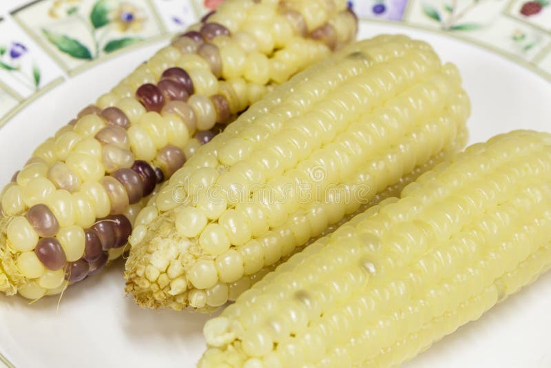 Sticky corn stock image. Image of food, meal, crop, healthy - 45160997