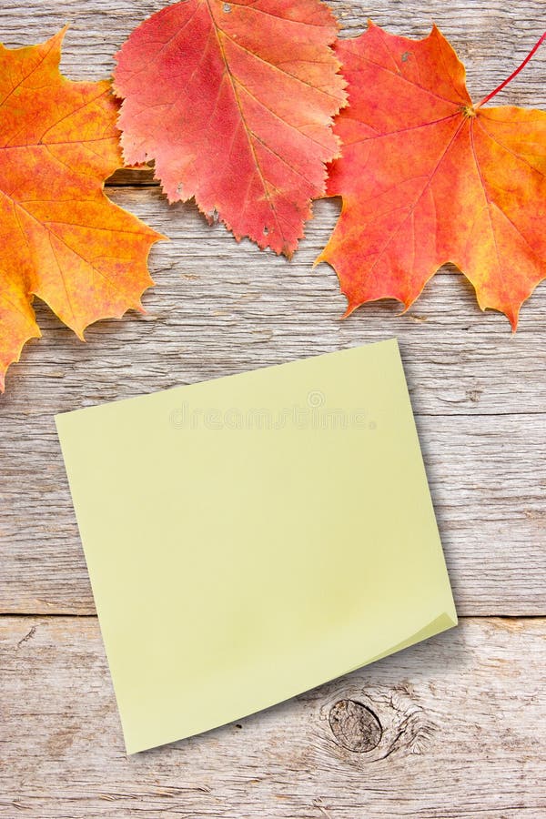 Sticky Note on the Board with Autumnal Leaves Stock Image - Image of ...