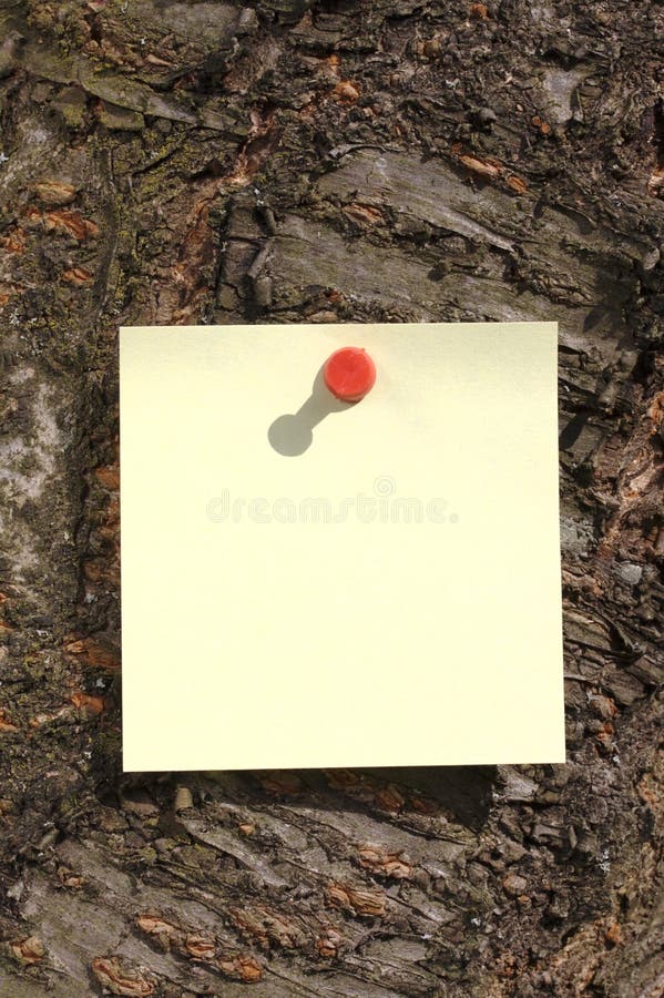 Sticky note on a tree stock image. Image of blank, paper - 4740339