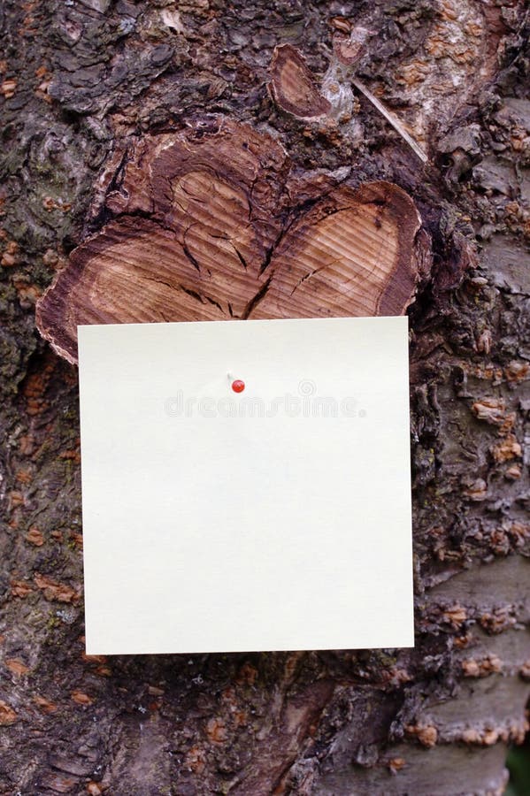 Sticky note on a tree stock image. Image of blank, important - 4740395