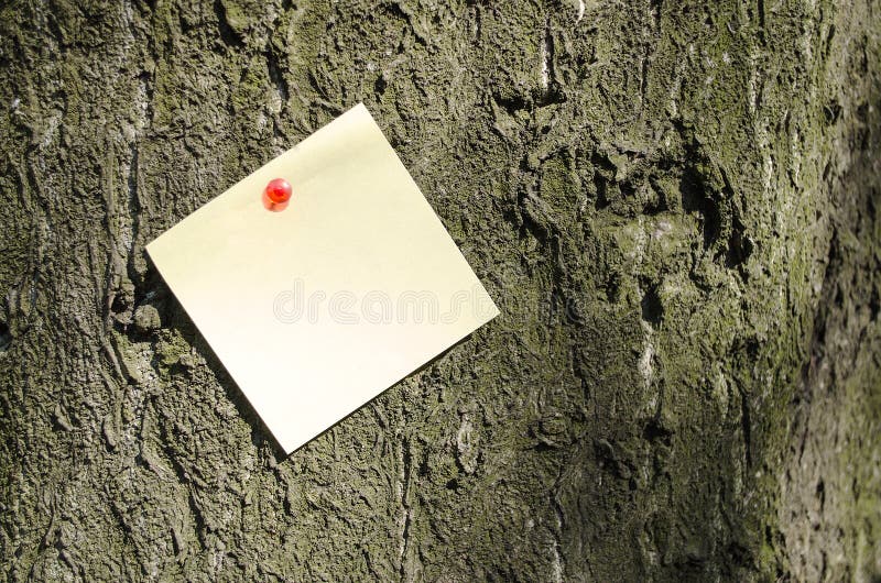 Note on the Tree stock photo. Image of natural, idea, cork - 5138228