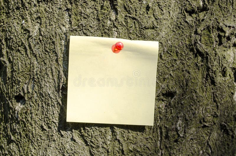 Sticky Note on Tree Background Stock Image - Image of board, design ...