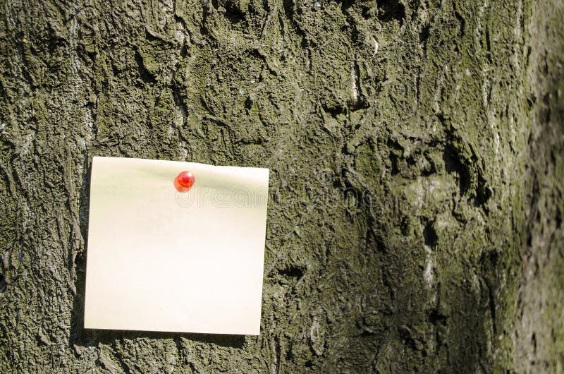 Sticky Note on Tree Background Stock Photo - Image of communication ...