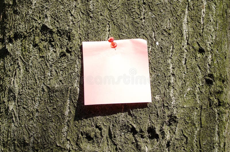 Sticky Note on Tree Background Stock Photo - Image of communication ...