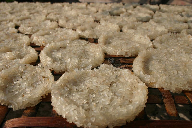 Sticky rice cakes Laos stock photo. Image of circles - 10818006