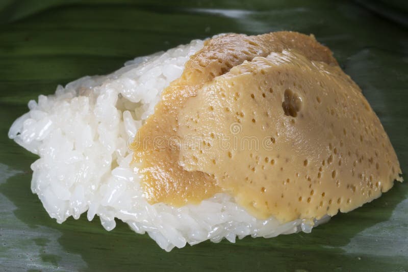 Sticky Rice with Steamed Custard Stock Image - Image of milk, sugar ...