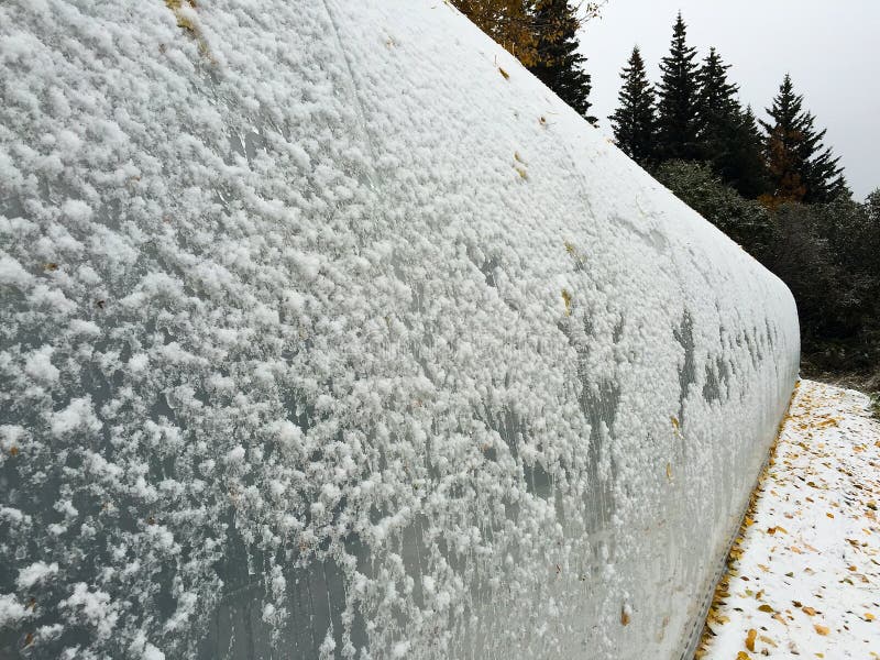 Sticky Snow on High Tunnel stock photo. Image of garden - 50831848