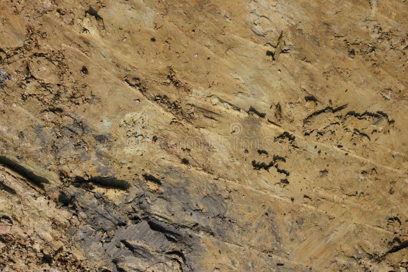 Sticky Soil Texture for Nature Background Stock Image - Image of ...