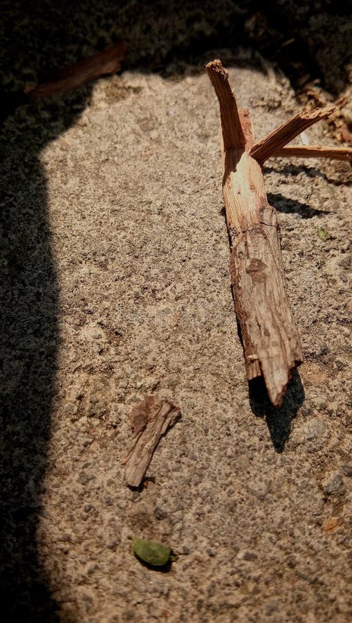 A sticky of a wood stock image. Image of metal, font - 168337355