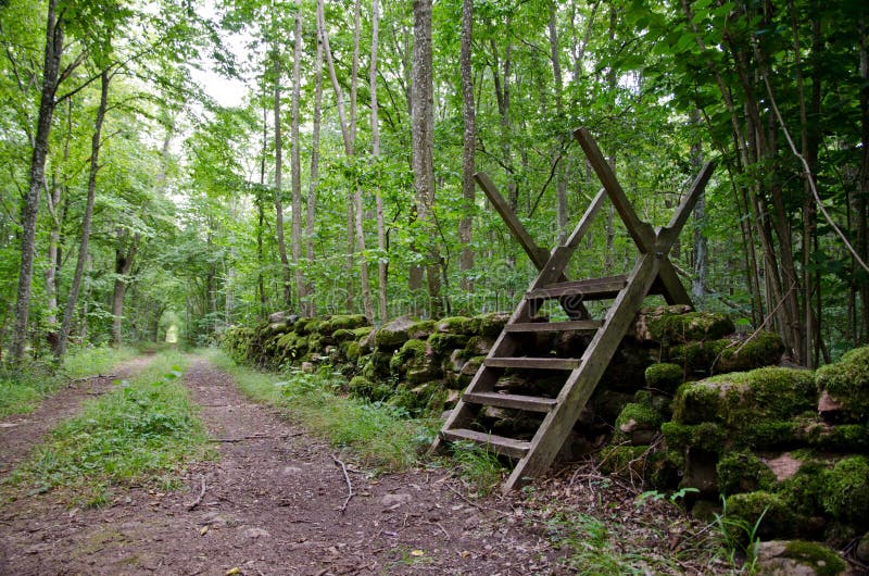 Stile at a Countryside Road Stock Image - Image of trunk, stonewall ...