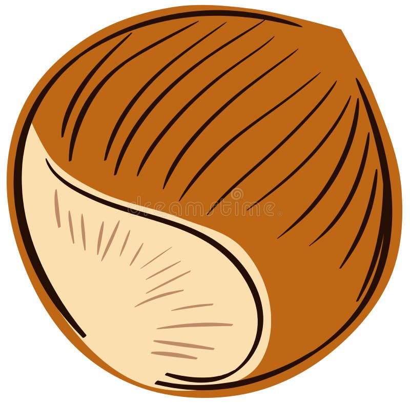 Stilisierte Nuss Lokalisierte Illustration Stock Abbildung ...