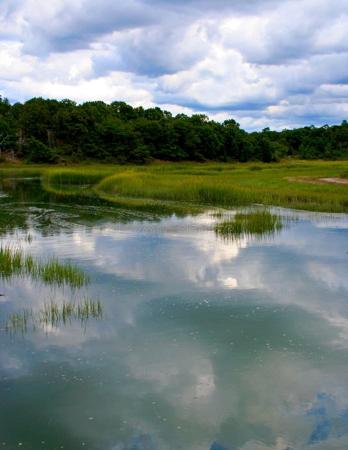 Still Calm Waters stock photo. Image of calm, cape, brush - 114674626