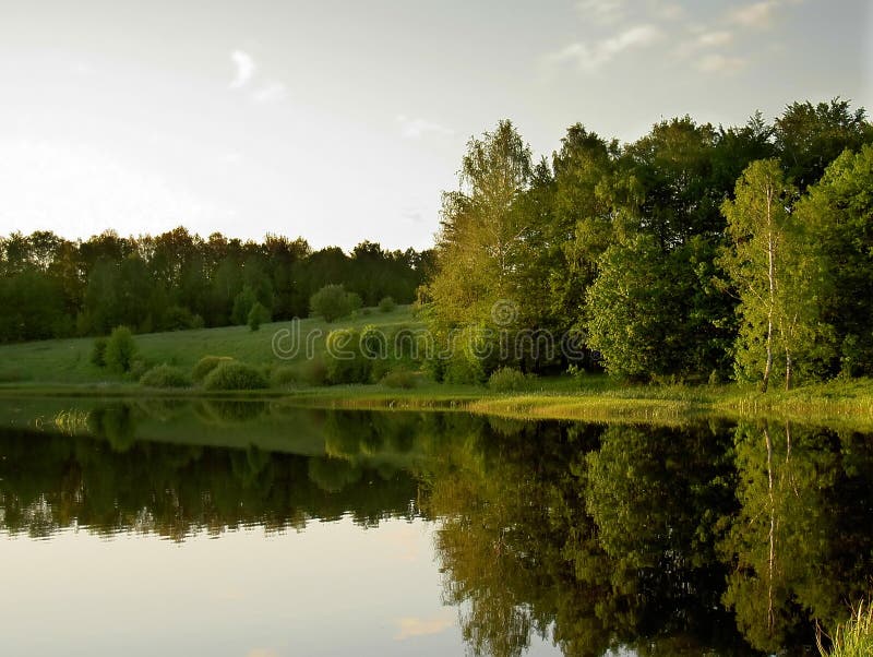 Still lake stock image. Image of summer, still, wild, mirror - 575655