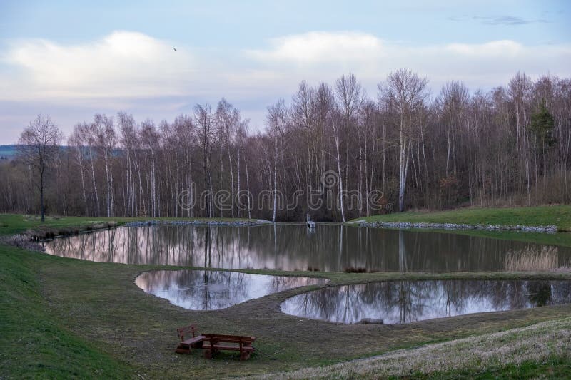 Still Lake with Reflection and Forest Background Stock Photo - Image of ...