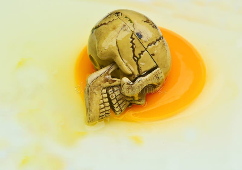 Still Life Abstract Concept Human Skull on Egg Stock Photo - Image of ...