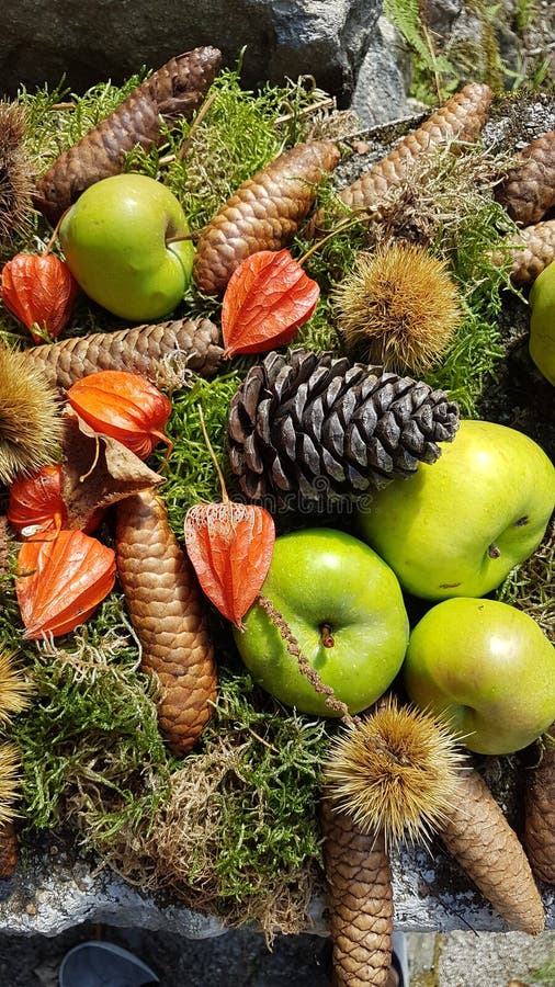 An amazing composition stock image. Image of amazing - 108102945