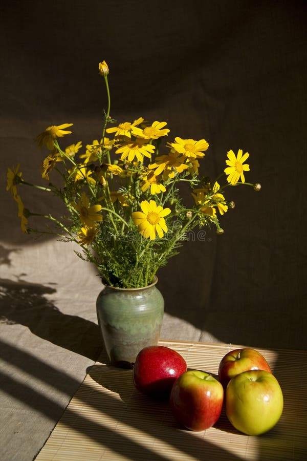 Sunbeam Foods Meeting Stock Photos - Free & Royalty-Free Stock Photos ...