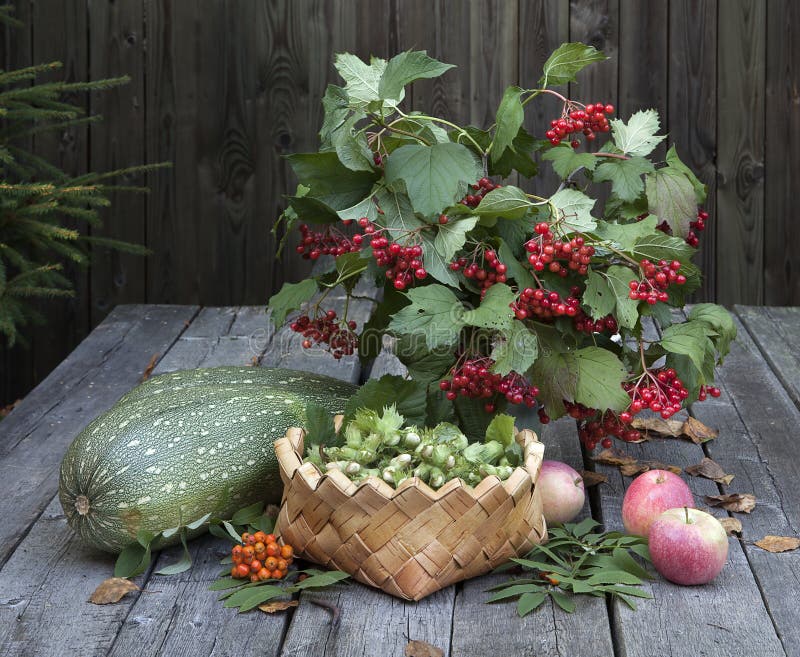 Still Life with Autumn Bouquet and Vegetable Marrow Stock Photo - Image ...