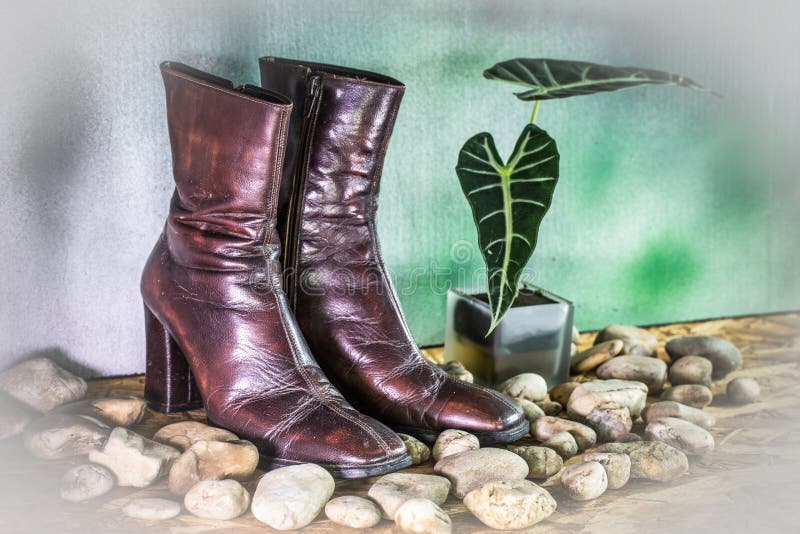 Still Life, Beautiful Lady Boots Stock Image - Image of nice, worn ...