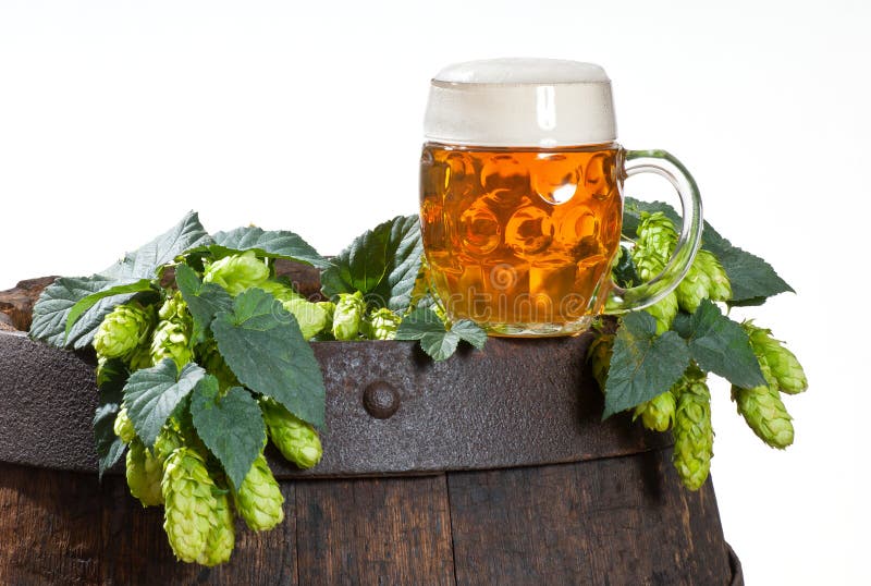 Still life with beer stock photo. Image of brewing, draft - 28828048