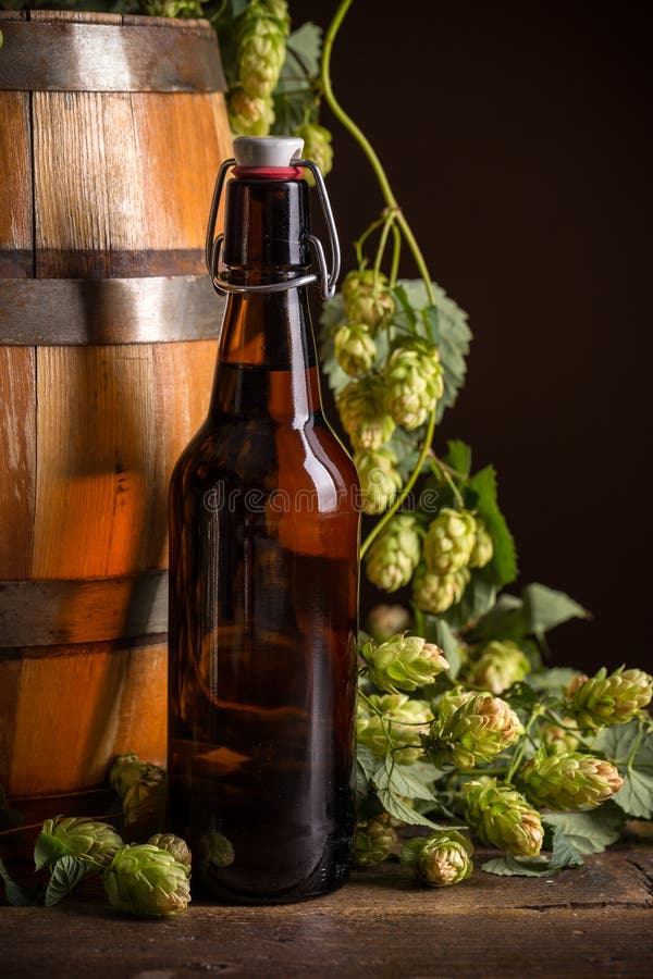 Still Life with Beer Bottle Stock Image - Image of hops, beer: 59753565