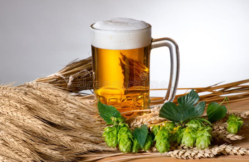 Still Life with Beer Glass. Stock Photo - Image of husbandry ...