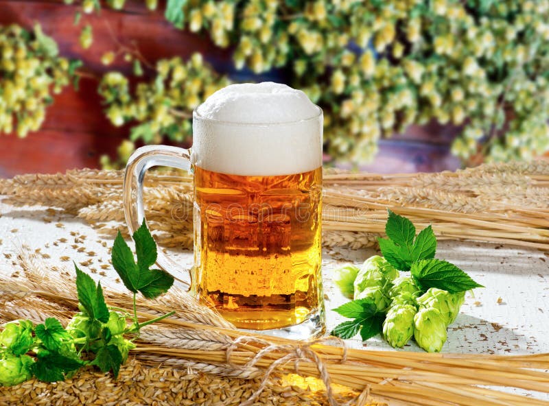 Still life with beer stock image. Image of bitter, desk - 40638521