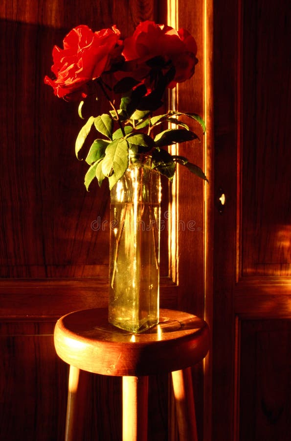 Still Life Bouquet Red Rose in Vase Stock Image - Image of rose ...