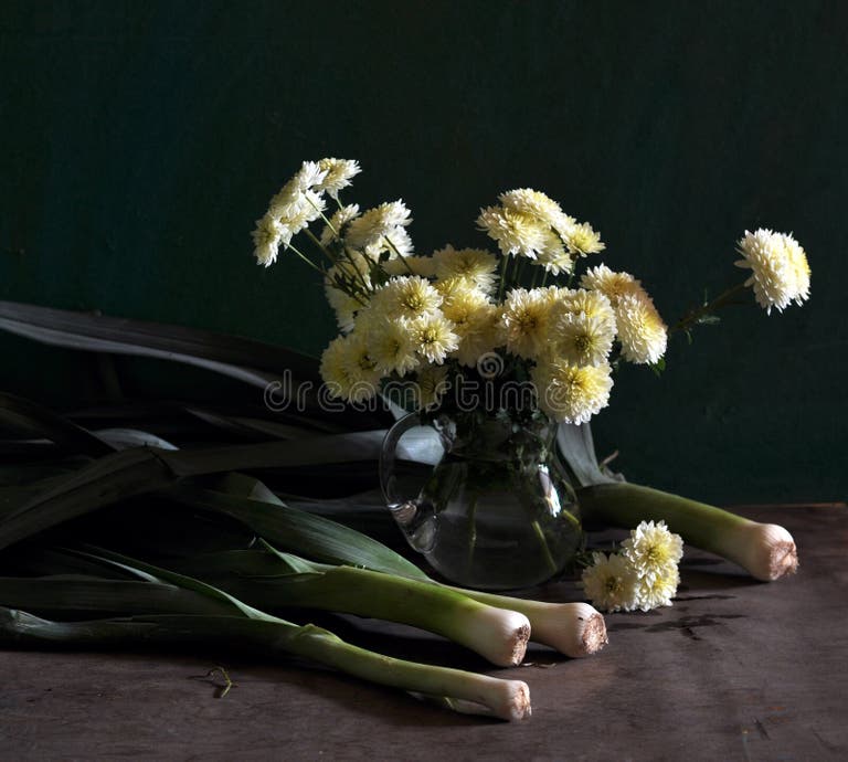 Still Life with a Bow and Chrysanthemums Stock Photo - Image of autumn ...