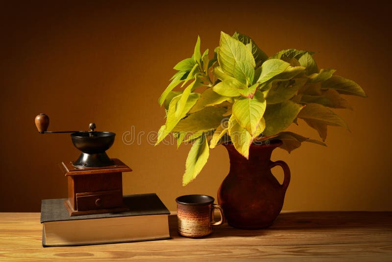 Still Life, Ceramic Jug and Hydrangea Leaves Stock Image - Image of ...