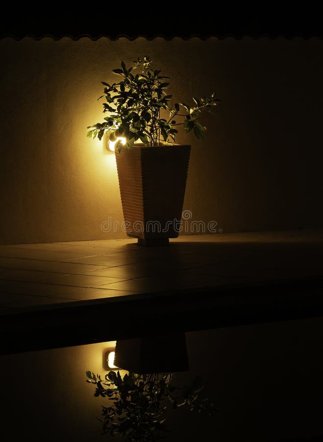 Still Life stock photo. Image of wall, still, night - 308737680