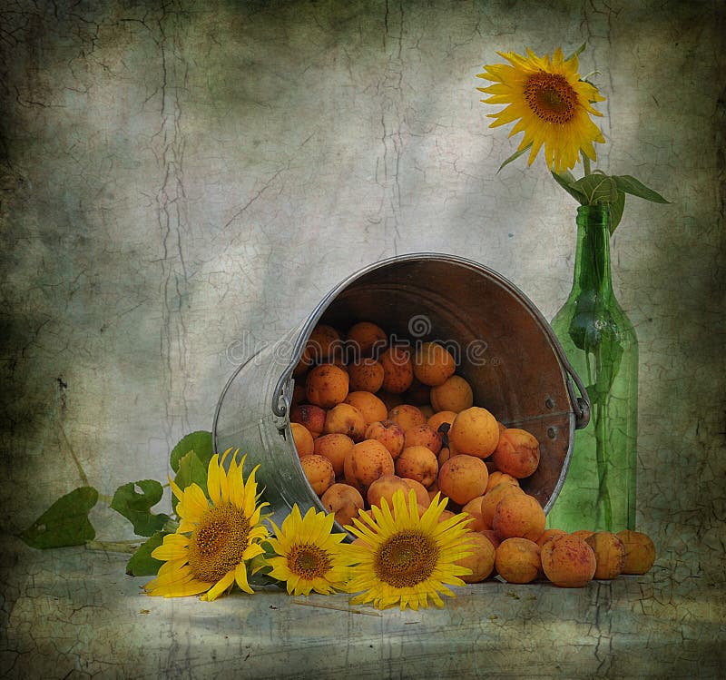 Still Life Consisting of Sunflowers Stock Photo - Image of bucket ...