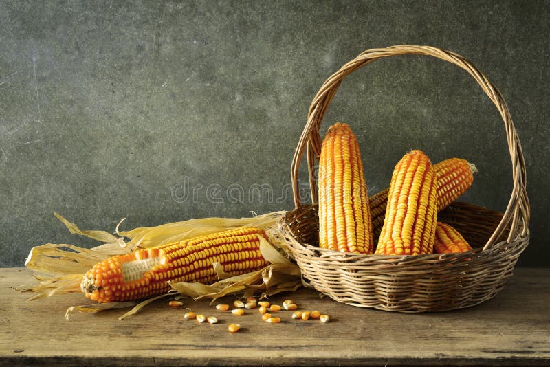 Country still life stock photo. Image of life, living - 26533636