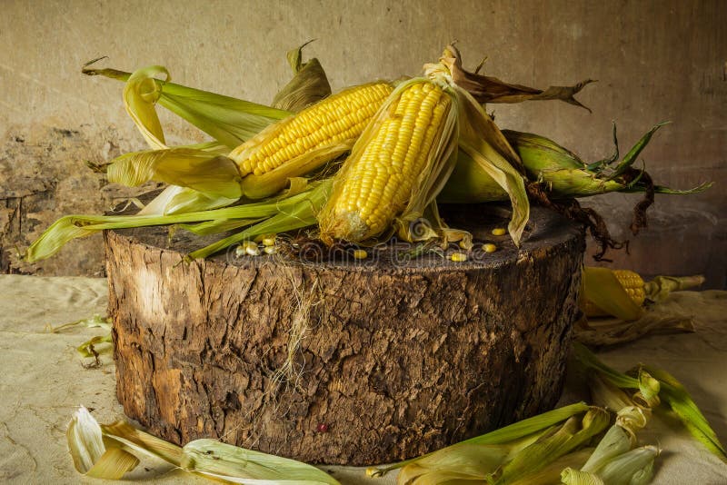 Still life with corn stock photo. Image of abstract, agriculture - 44732198