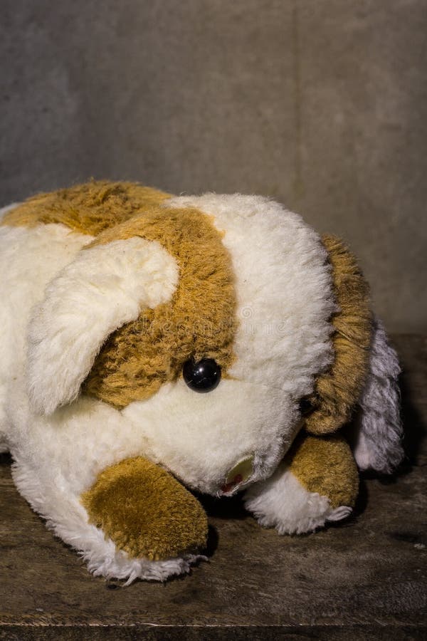 Still Life Cute Dog Brown Doll Stock Image - Image of painting, baby ...