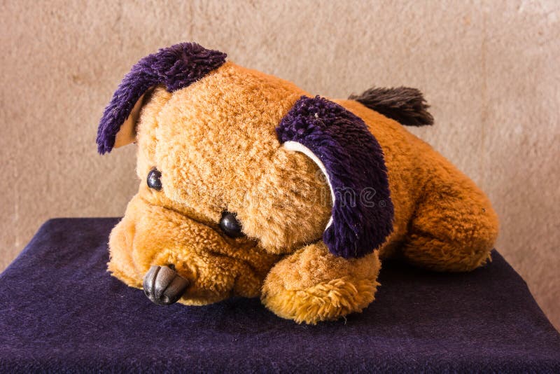 Still Life Cute Dog Brown Doll Stock Photo - Image of alone, painting ...