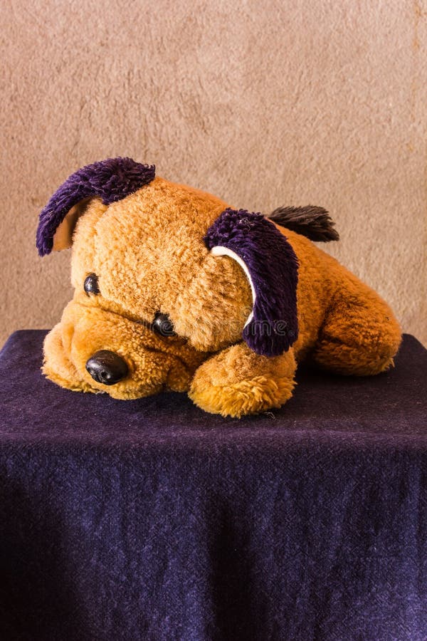 Still Life Cute Dog Brown Doll Stock Image - Image of nostalgia ...