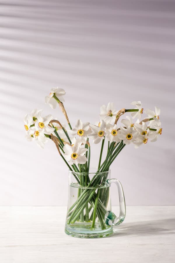 Still life with daffodils stock photo. Image of flowers - 112126844
